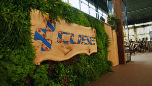 Ander Hout - Ander Hout